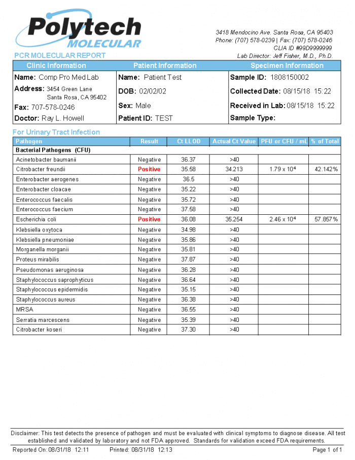 Custom Report Generator